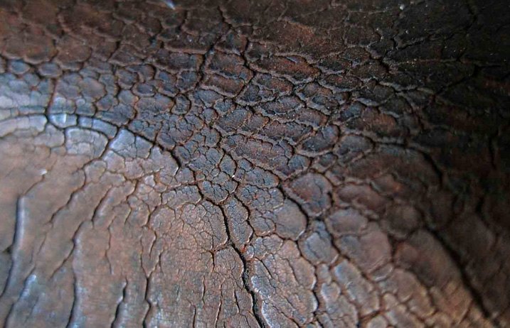 How Should You Clean Your Leather Motorcycle Boots?