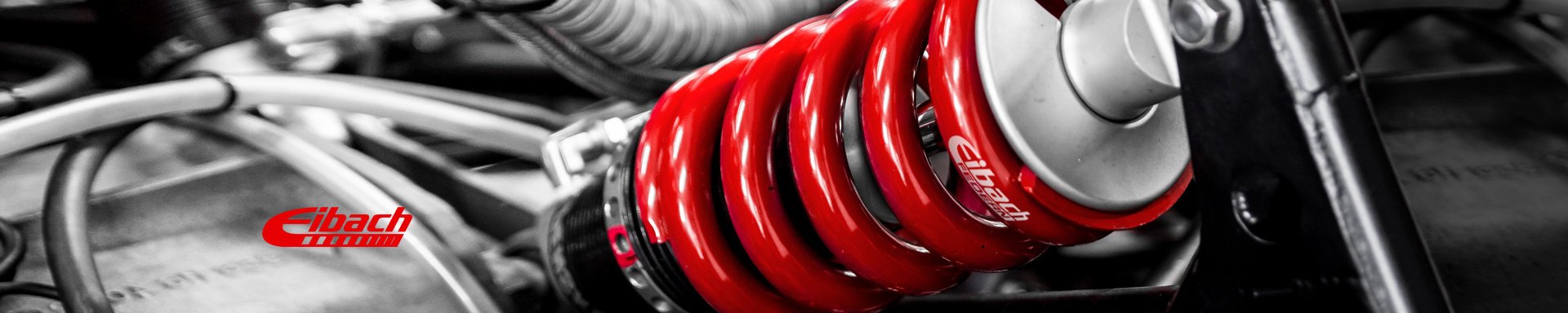 Eibach™ - Fork & Rear Motorcycle Spring Kits, Spacers, Preload Shims ...