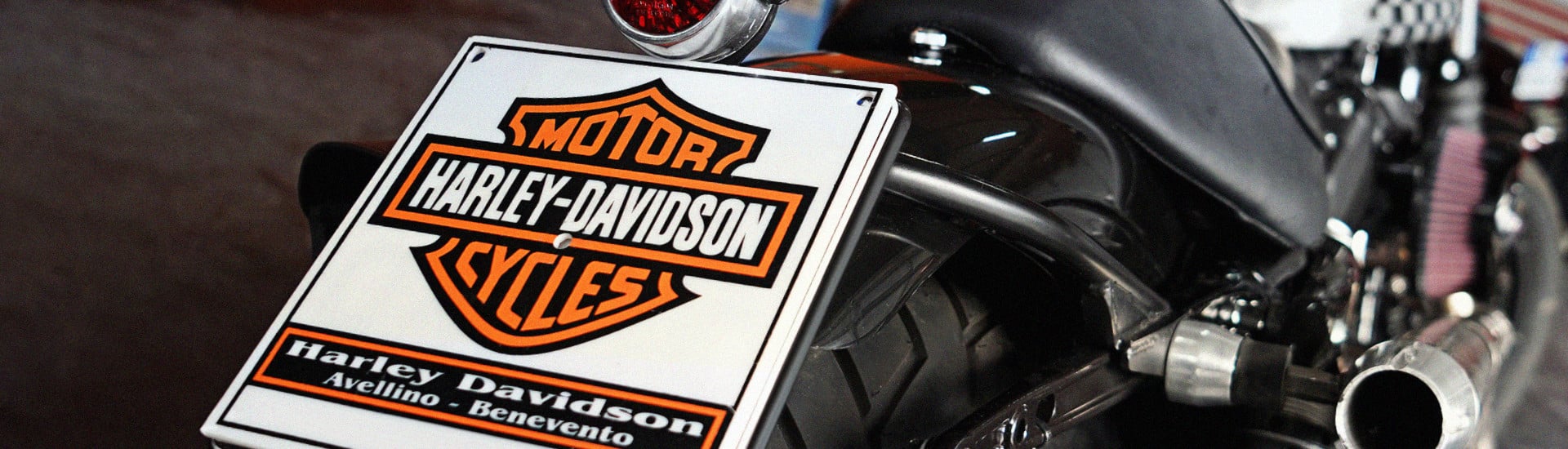 2021 Harley Davidson Forty-Eight License Plate Accessories - Frames ...